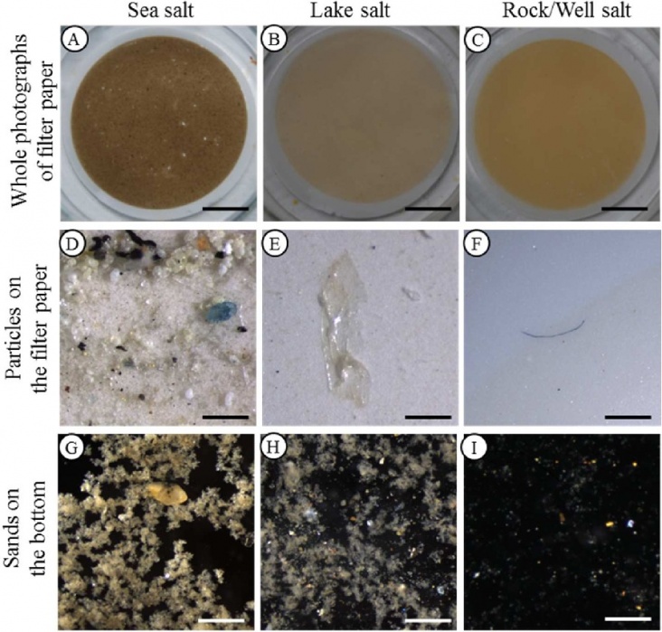 SCIENTISTS: Chinese table salt contains microplastic.