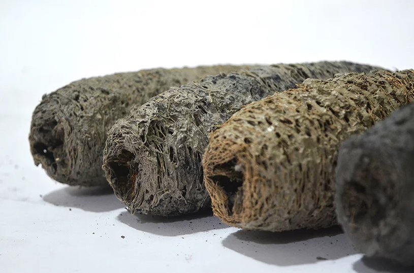 INNOVATION: Biodegradable construction bricks made of charcoal and loofah.