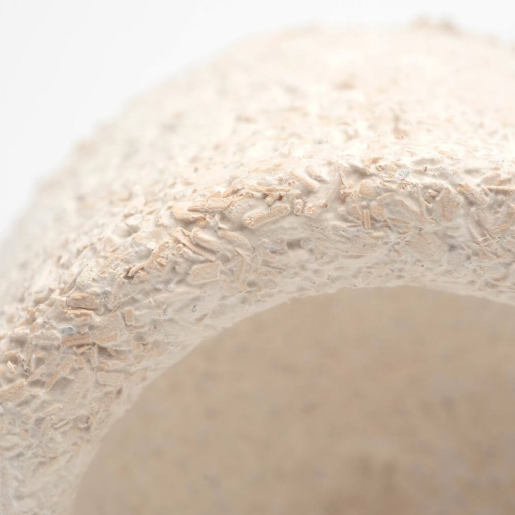 MAGICAL MUSHROOMS: Packaging made by nature.