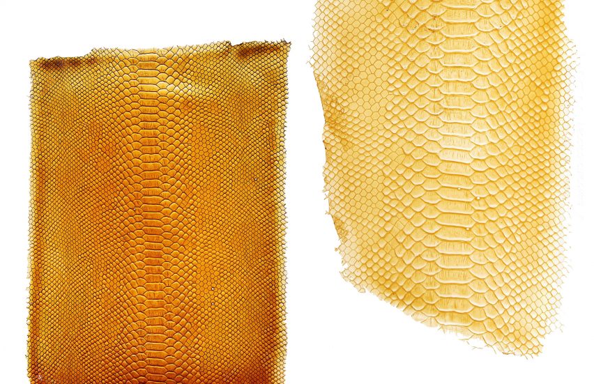 MATERIAL DEVELOPMENT: Leather made from food waste.