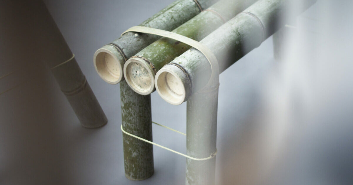 SUSTAINABILITY: Bamboo And A Rope.