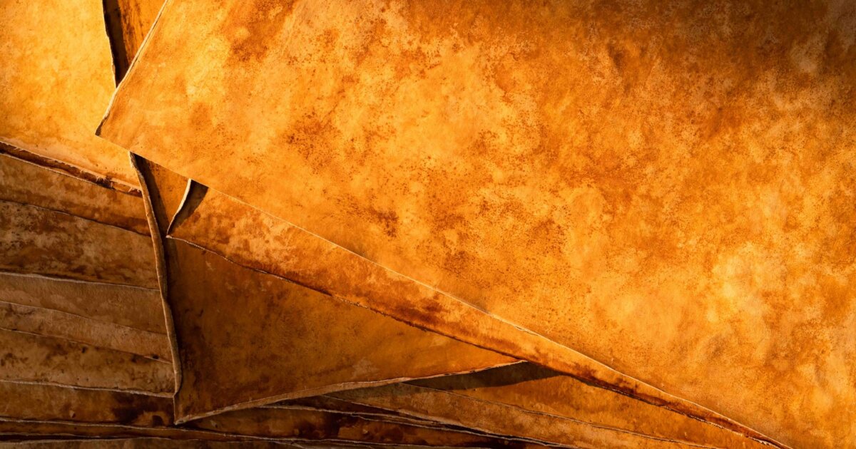 MATERIAL: Fine Mycelium Leather.