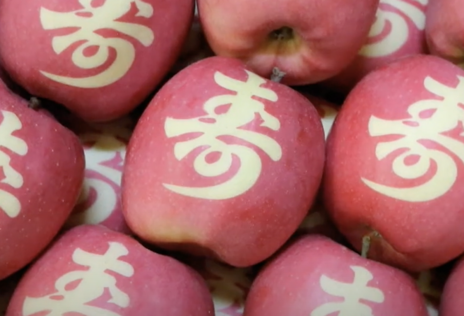 MOJIE RINGO: Design By Nature.