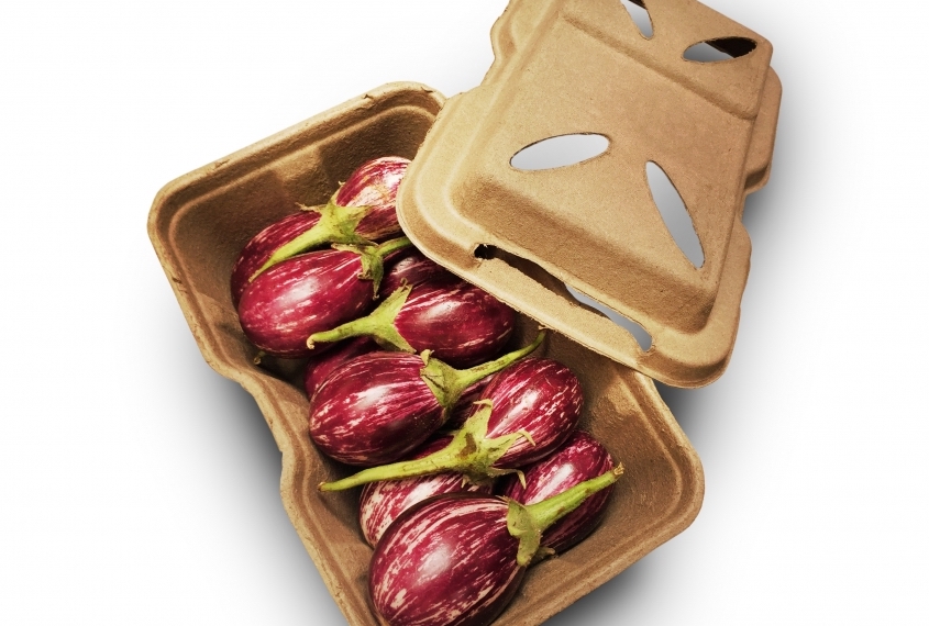 MATERIAL: Biodegradable Single-Use Disposables.