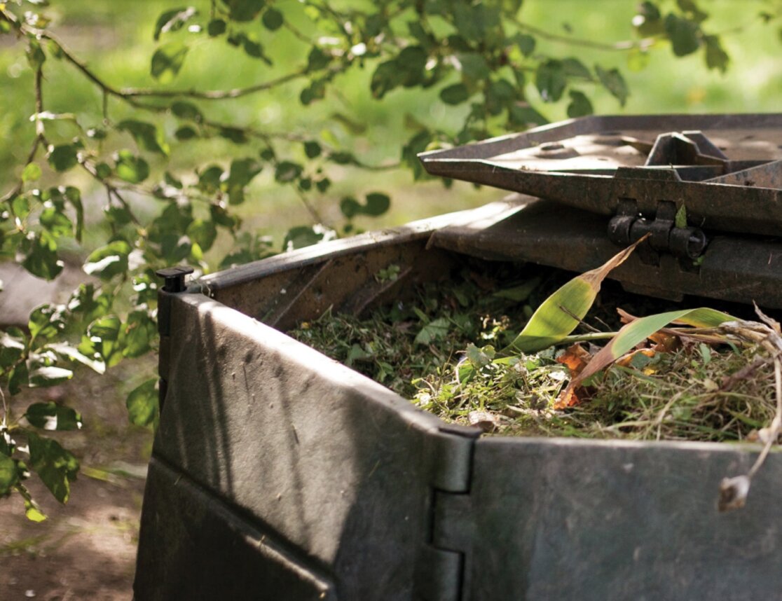 Richtig kompostieren – Tipps und Hinweise