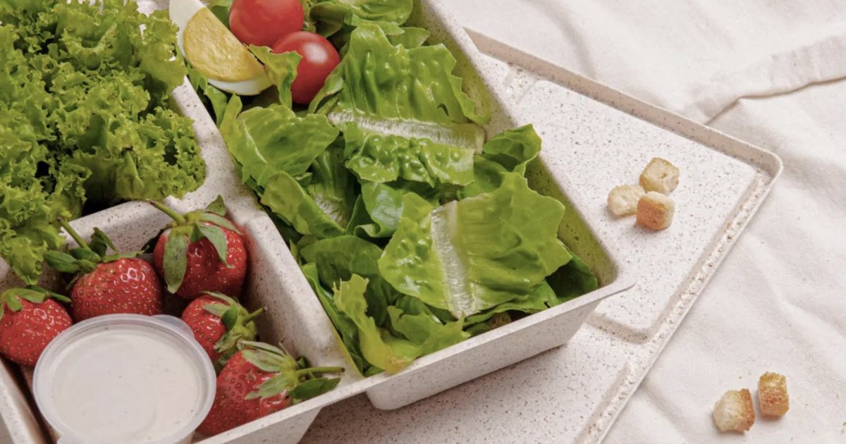 Food Containers Made From Food By-Products.