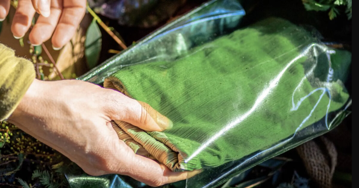 SWAY: Flexible Packaging Solutions Derived From Seaweed.